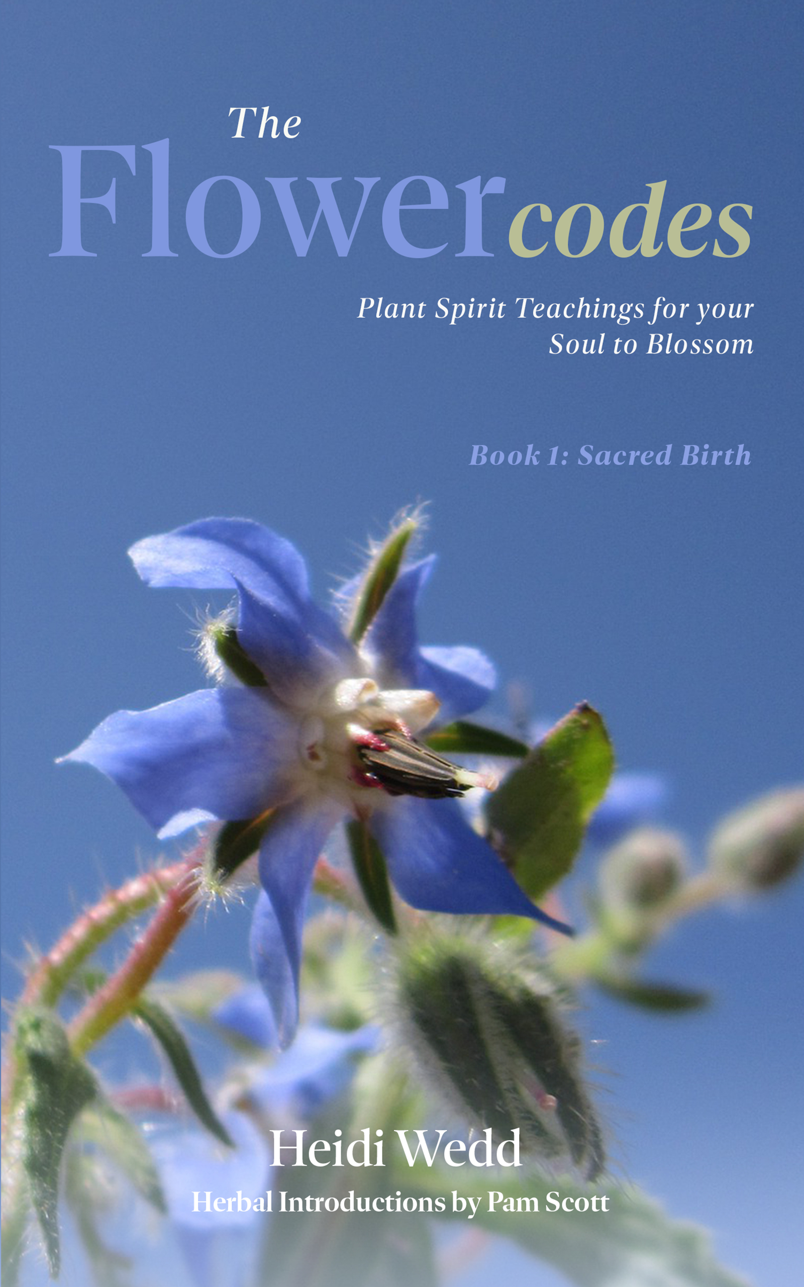The Flower Codes Book Series – the Flower Codes